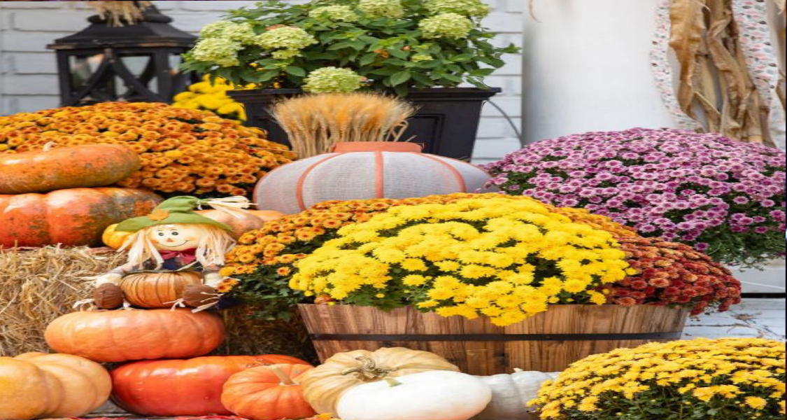 Burnsville Harvest Market Craft Show – Burnsville Town Center